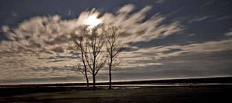 Natural Light Photography: Larry Broder, Photographer