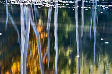 Natural Light Photography: Larry Broder, Photographer