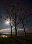 Natural Light Photography: Larry Broder, Photographer